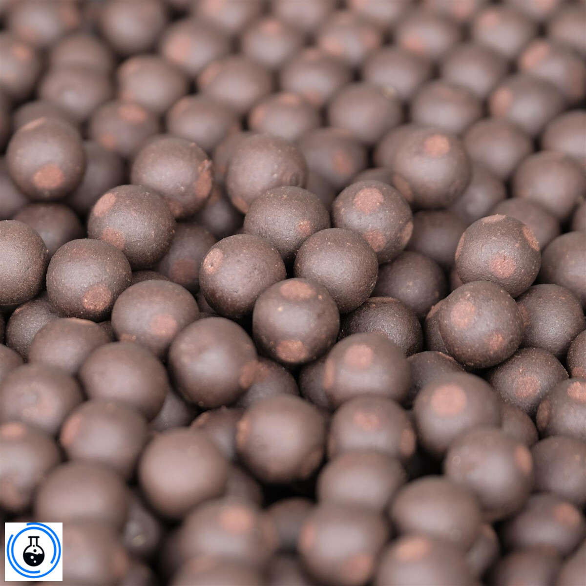 BAITSHOP Natural Fish Boilies | baitshop.at, 22,50